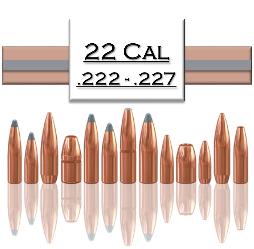 .224 Bullets | Browse & Order Online | Livens Gun Shop