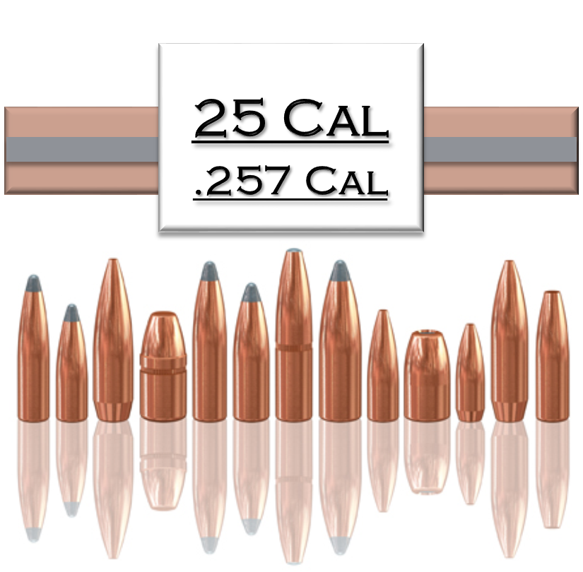 .257 Bullets | Browse & Order Online | Livens Gun Shop