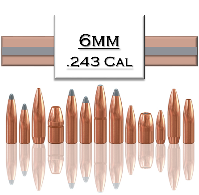 .243 / 6mm Bullets | Browse & Order Online | Livens Gun Shop