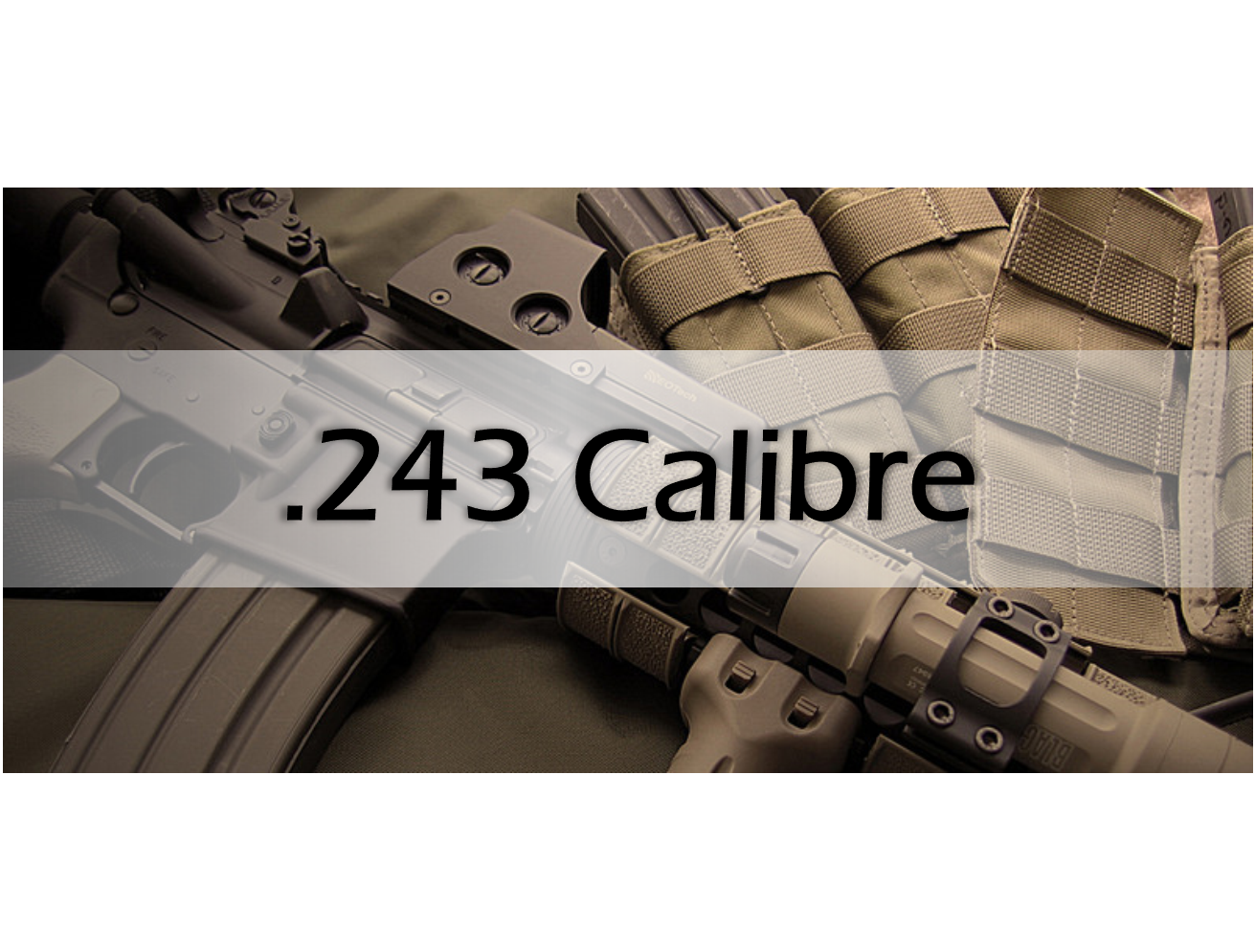 243 | Browse & Order Online | Livens Gun Shop