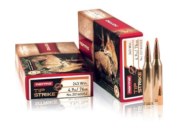 NORMA 243 Win 76gr Tip Strike | Livens Gun Shop Rifle Ammo